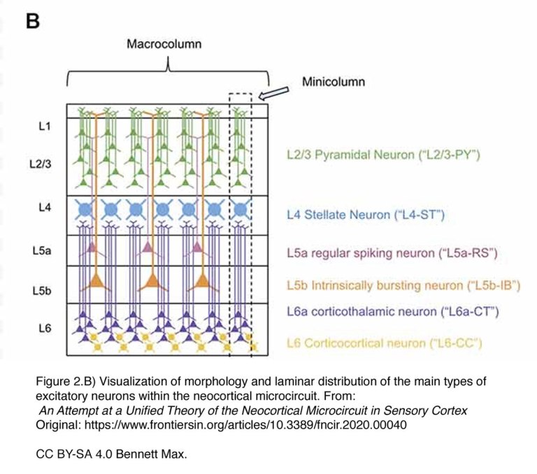 Chapter 5. The brain is a computer – How the Brain Works – What ...